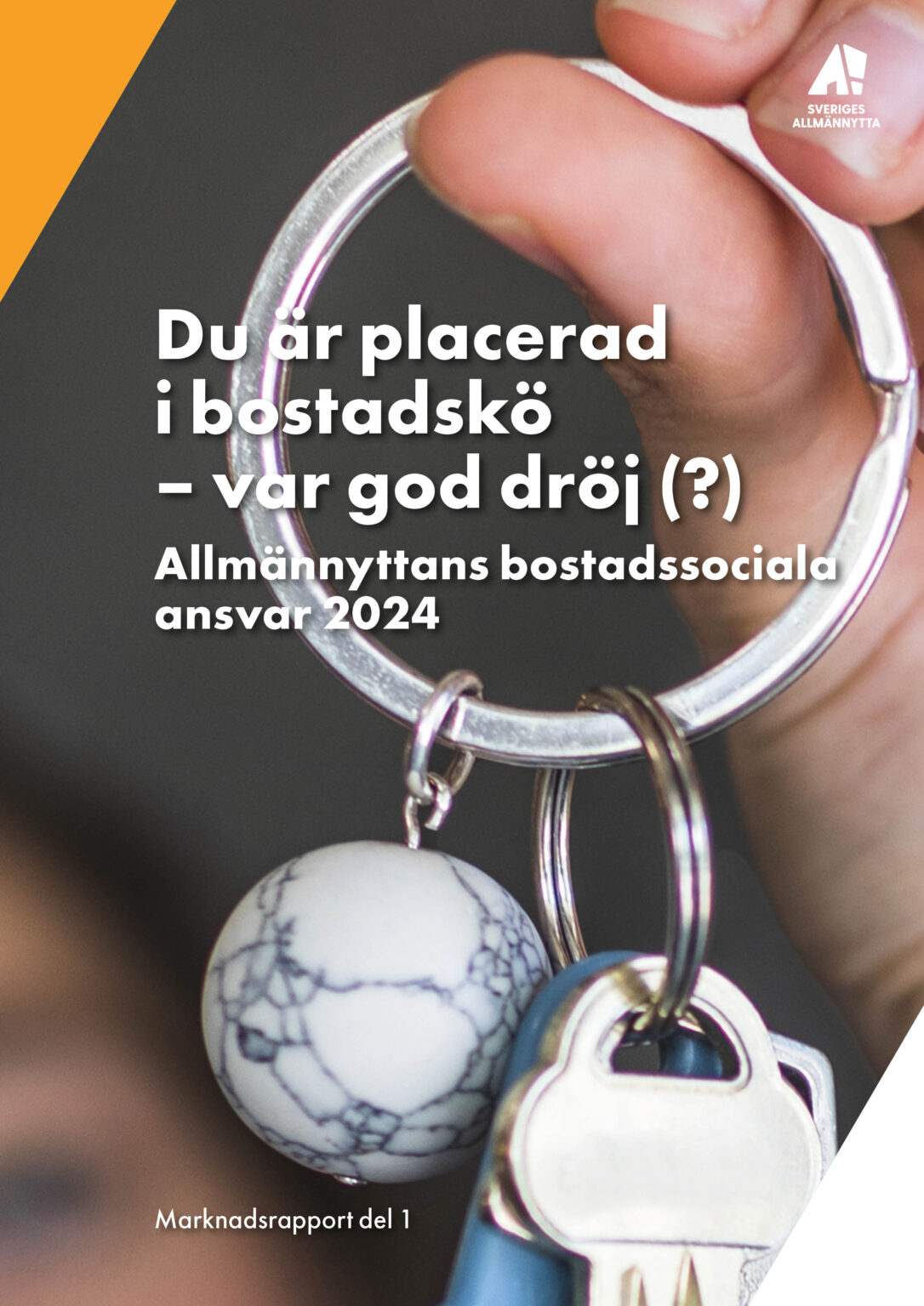 Pitebo lottar ut en lägenhet i veckan | Sveriges Allmännytta